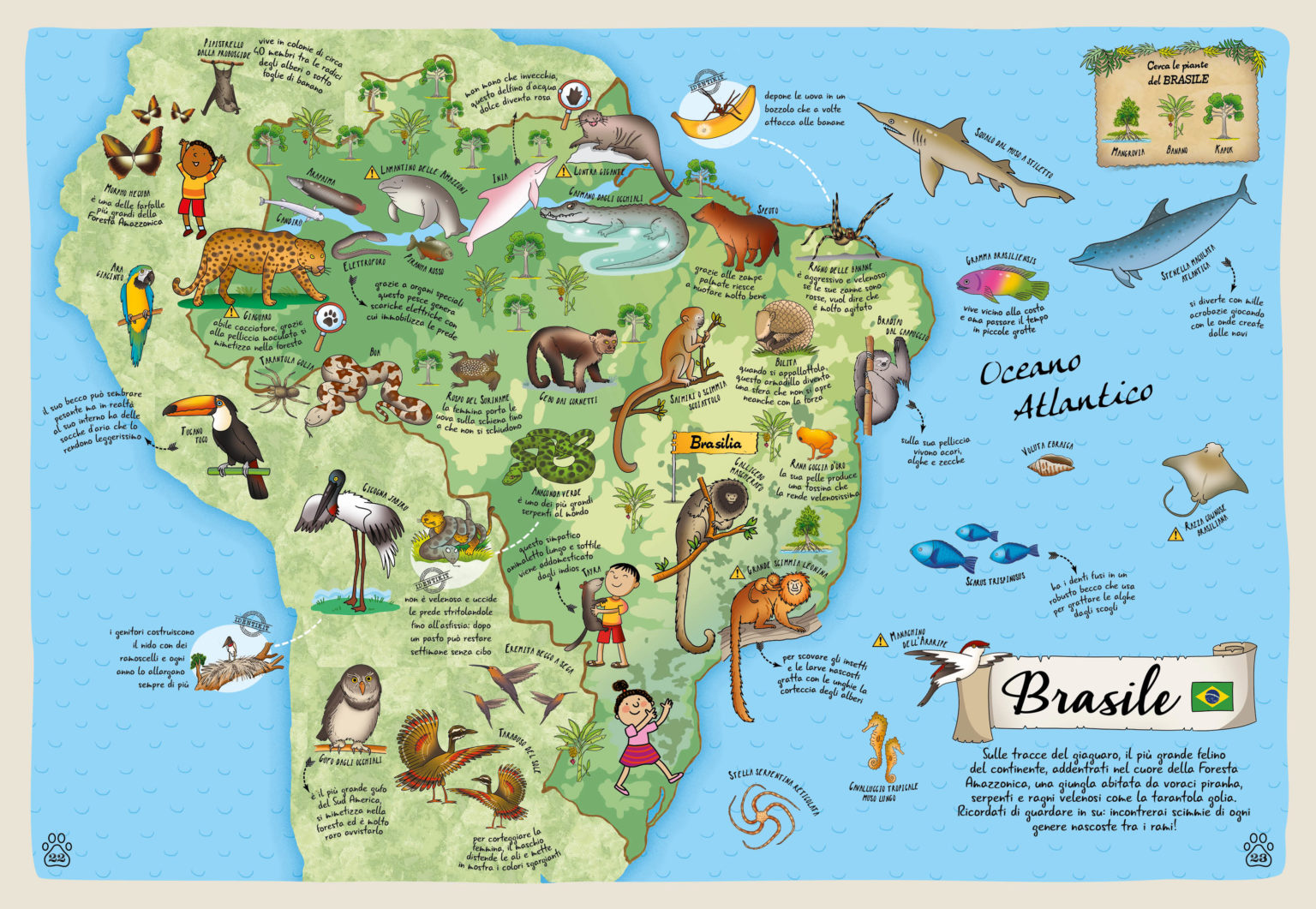 Animal Maps - Dalcò Edizioni