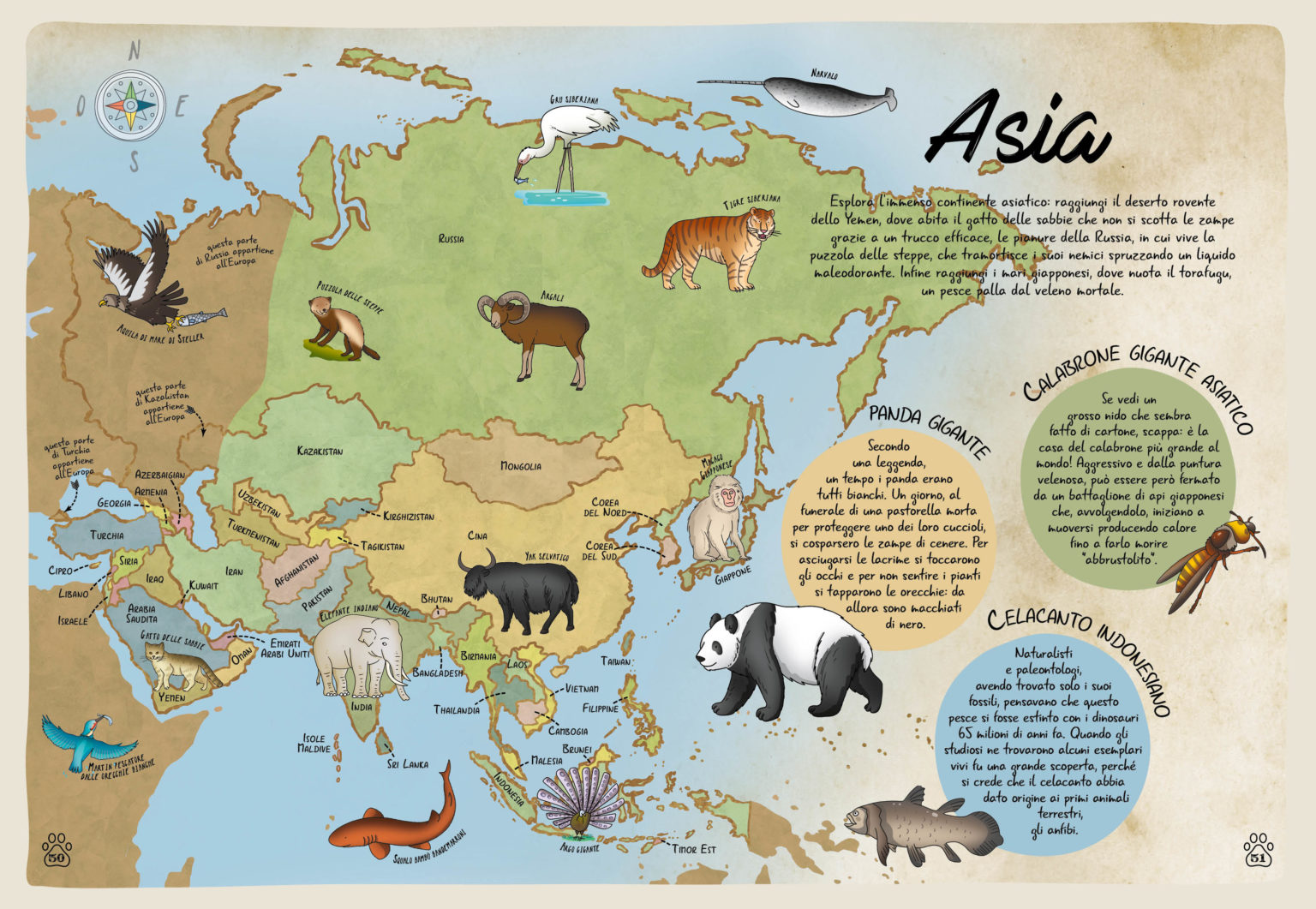 Animal Maps - Dalcò Edizioni