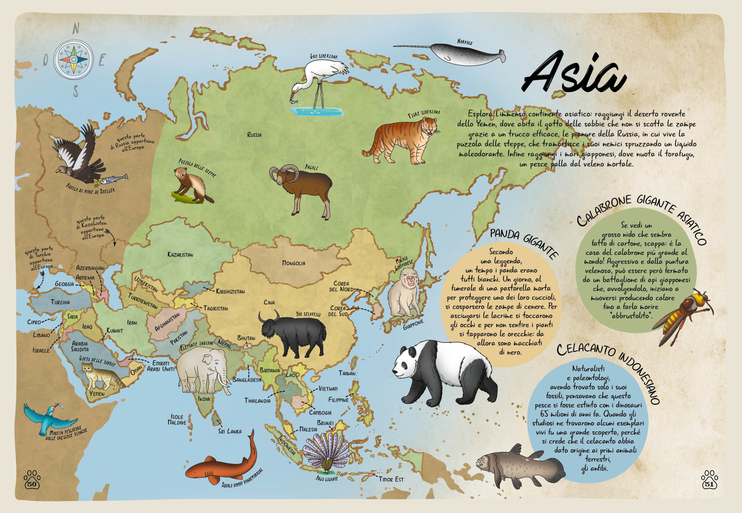 Animal Maps - Dalcò Edizioni