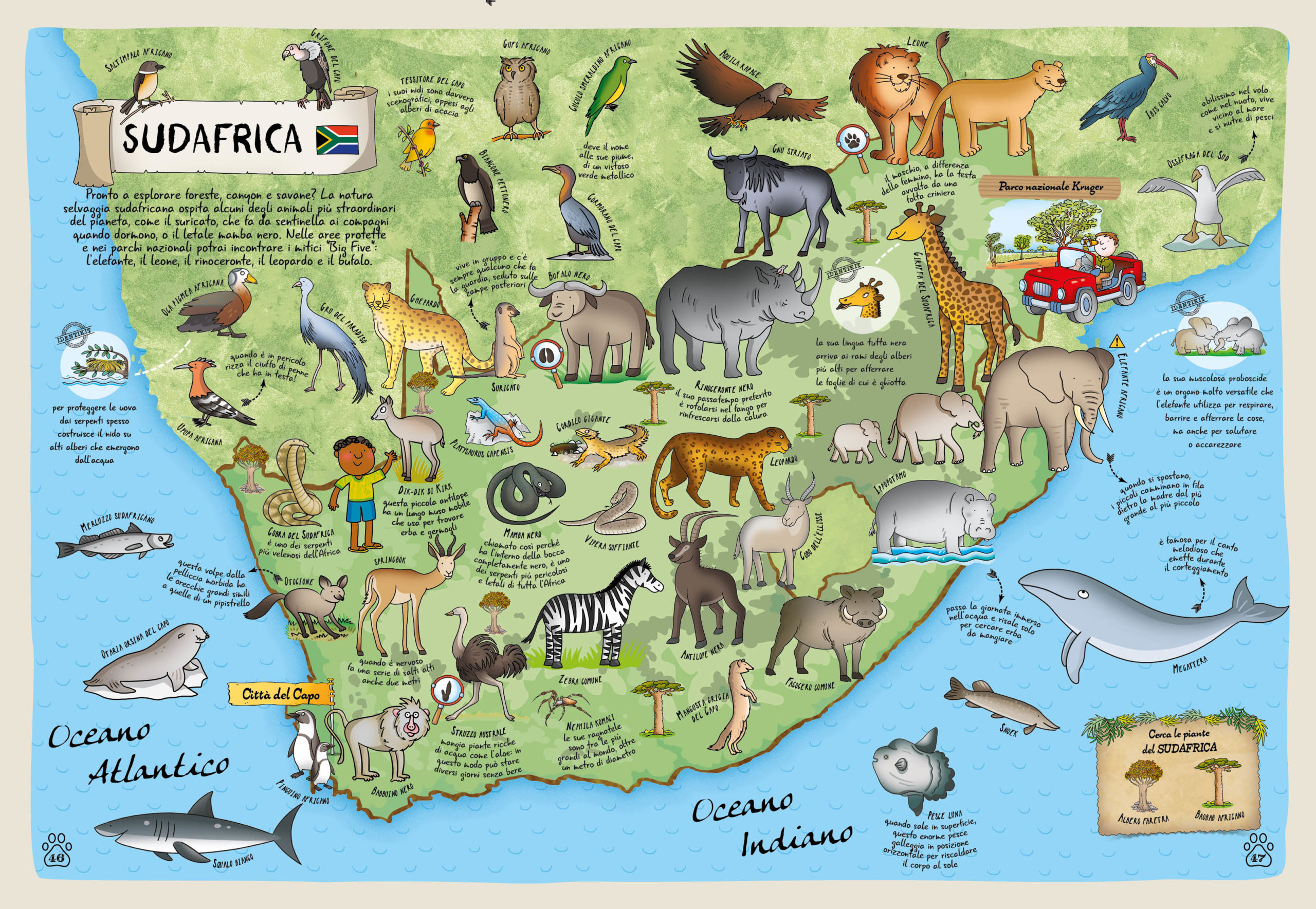Animal Maps - Dalcò Edizioni